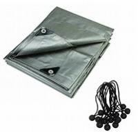 China 2OZ-9OZ  Pe Material   10*12ft  Polyethylene  Tarpaulin Poly Tarp For  Covering for sale