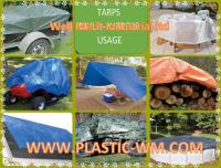 China Economy Blue Tarp HD Silver Tarp Camoflague Tarpaulin All Purpose PE Tarpaulin for sale