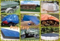 China 4Mil,6Mil ,10Mil Thickness Waterproof PE Tarp Polyethylene Tarp HDPE Tarp  Poly Tarp for sale