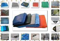 China 50g/m2-280g/m2 Waterproof Plastic Tarpaulin Sheet  Poly Tarp  PE Tarpaulin Cover for sale