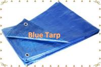 China Blue Tarpaulin Blue PE Tarp  Blue Tarp Cover   Economy Blue Poly  Tarp for sale