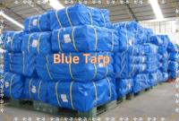 China Blue Tarpaulin Blue PE Tarp  Blue Tarp Cover   Economy Blue Poly  Tarp for sale