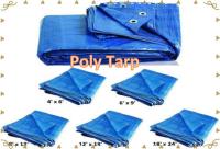 China 50G/M2-280G/M2  2MIL-12MIL PE Tarpaulin Cover  Plastic  Tarp  Poly Tarp for sale
