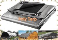 China 50G/M2-280G/M2  2MIL-12MIL PE Tarpaulin Cover  Plastic  Tarp  Poly Tarp for sale