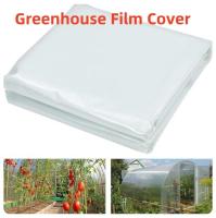 China 1M-16M Width PE/PO/EVA Plastic Agricultural Greenhouse Film Cover for sale