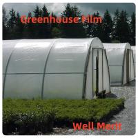 China 1M-16M Width PE/PO/EVA Plastic Agricultural Greenhouse Film Cover for sale