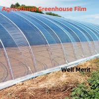 China 6Mil (150Micron）Greenhouse Plastic Sheeting  PE Film Replacement Covering for sale