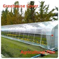 China 6Mil (150Micron）Greenhouse Plastic Sheeting  PE Film Replacement Covering for sale