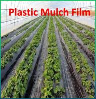 China Perforated & Non-Perforated Black/Silver Color Plastic Mulch Film for sale