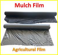China Perforated & Non-Perforated Black/Silver Color Plastic Mulch Film for sale