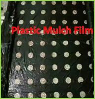 China Perforated & Non-Perforated Black/Silver Color Plastic Mulch Film for sale