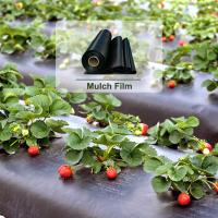 China 1-4M Width Black/ Silver Color Agricultural Plastic Mulch Film for sale