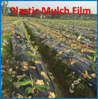 China 1-4M Width Black/ Silver Color Agricultural Plastic Mulch Film for sale