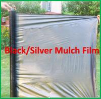 China 1-4M Width Black/ Silver Color Agricultural Plastic Mulch Film for sale