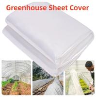 China 6Mil (150Micron）Greenhouse Plastic Sheeting  PE Film Replacement Covering for sale