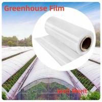 China 6Mil (150Micron）Greenhouse Plastic Sheeting  PE Film Replacement Covering for sale
