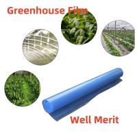 China 6Mil (150Micron）Greenhouse Plastic Sheeting  PE Film Replacement Covering for sale