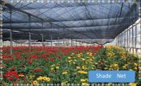 China 20g/m2-325g/m2 Scaffold Debris Netting Mesh Tarp Shade Fabric Raschel Shade Net for sale