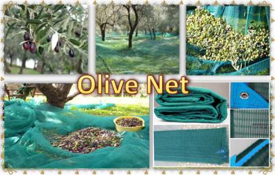 China 70g/m2-120g/m2 Olive Net  Olive Harvest Mesh Net Olive Collecting Netting for sale