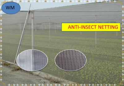 China HDPE Insect Mesh Netting Anti-Insect Netting For Agricultural for sale