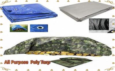China 4Mil,6Mil ,10Mil Thickness Waterproof PE Tarp Polyethylene Tarp HDPE Tarp  Poly Tarp for sale