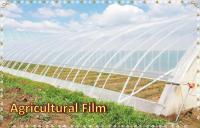 China Greenhouse Film  Agricultural greenhouse Plastic Film Agricultural Film for sale