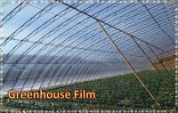 China Greenhouse Film  Agricultural greenhouse Plastic Film Agricultural Film for sale