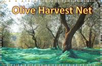 China 100% New HDPE UV 70g/m2-100g/m2  Agricultural Harvest Net Olive Net for sale