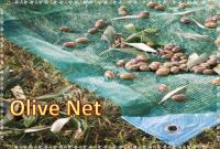 China 100% New HDPE UV 70g/m2-100g/m2  Agricultural Harvest Net Olive Net for sale