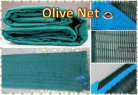 China Agricultural Harvest Netting Olive Netting Olive Harvest Netting for sale