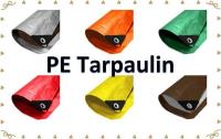 China 100%Waterproof Assorted Size HDPE Tarpaulin PE Tarpaulin Plastic Tarpaulin for sale