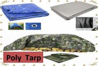 China 100%Waterproof Assorted Size HDPE Tarpaulin PE Tarpaulin Plastic Tarpaulin for sale