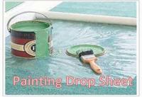 China 4x5M  All Purpose Cover /Repair Sheet/Plastic Dust Sheet for sale
