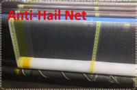 China Hail Net /Hail Protection Net/ Anti-Hail Netting for sale