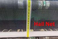 China Hail Net /Hail Protection Net/ Anti-Hail Netting for sale