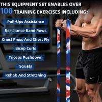 China Elastic Pull Up Assist Bands Long Resistance Bands Set For Working Out Physical Therapy for sale