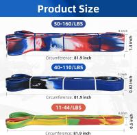 China Elastic Pull Up Assist Bands Long Resistance Bands Set For Working Out Physical Therapy for sale