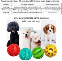 China Non Toxic Rubber Dog Toy Ball Bite Resistant Teeth Cleaning Chew Toy For Exercise Game IQ Training for sale