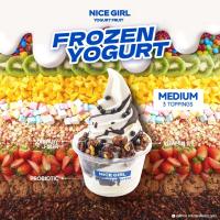 China Delicious Frozen Yogurt Shop For Middle East And Southeast Asian for sale