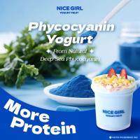 China Probiotic Frozen Yogurt Protein Shake Franchise Natural Ingredients For Healthy Beverages for sale