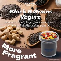 China Various Flavor Malaysia Frozen Yogurt Franchise With Natural Ingredients for sale