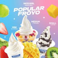 China Bright Froyo Store With Multiple Flavors Customizable Toppings For Middle East Market for sale