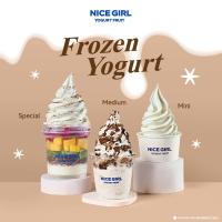 China Bright Froyo Store With Multiple Flavors Customizable Toppings For Middle East Market for sale