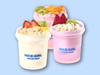 China Peach Low Fat Frozen Yogurt Authentic Flavor Zero Experience Franchise Entry for sale