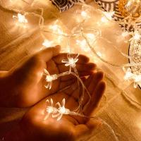 China 4.8m 6m 7m Christmas Tree Decoration Solar Powered Outdoor String Lights 5m 10m IP65 for sale