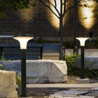 China Outdoor Park Illumination LED Solar Lawn Light For Graden Walkway Lighting for sale