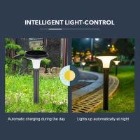 China Pathway Solar LED Garden Lamp For Bright Output Outdoor Areas Night Glow for sale