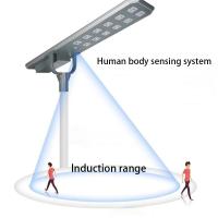 China Smart All In One LED Solar Street Light With Dusk To Dawn PIR Sensor For Rural Roads for sale