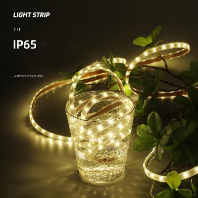 China Solar RGB String Lights with 8 Preset Dynamic Modes and 16 Million Colors for Color-Changing Garden Decor for sale