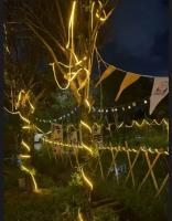 China Warm White Solar Fairy String Lights with 72-Hour Runtime and 2000mAh-5000mAh Battery for Multi-Scene Applications for sale